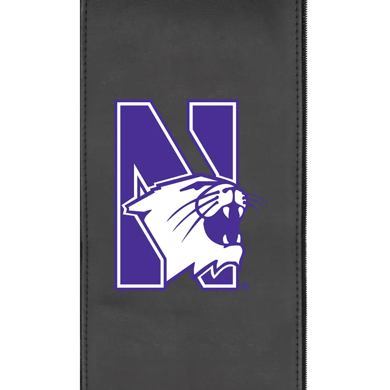 24" Logo Panel with Northwestern Wildcats Logo – Northwestern Team Store